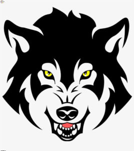 Discord Profil Resmi Örnekleri - Sanatsal, Estetik ve Özgün Resimler